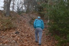 Doug Rayner Wildlife Refuge – Barrington Land Trust